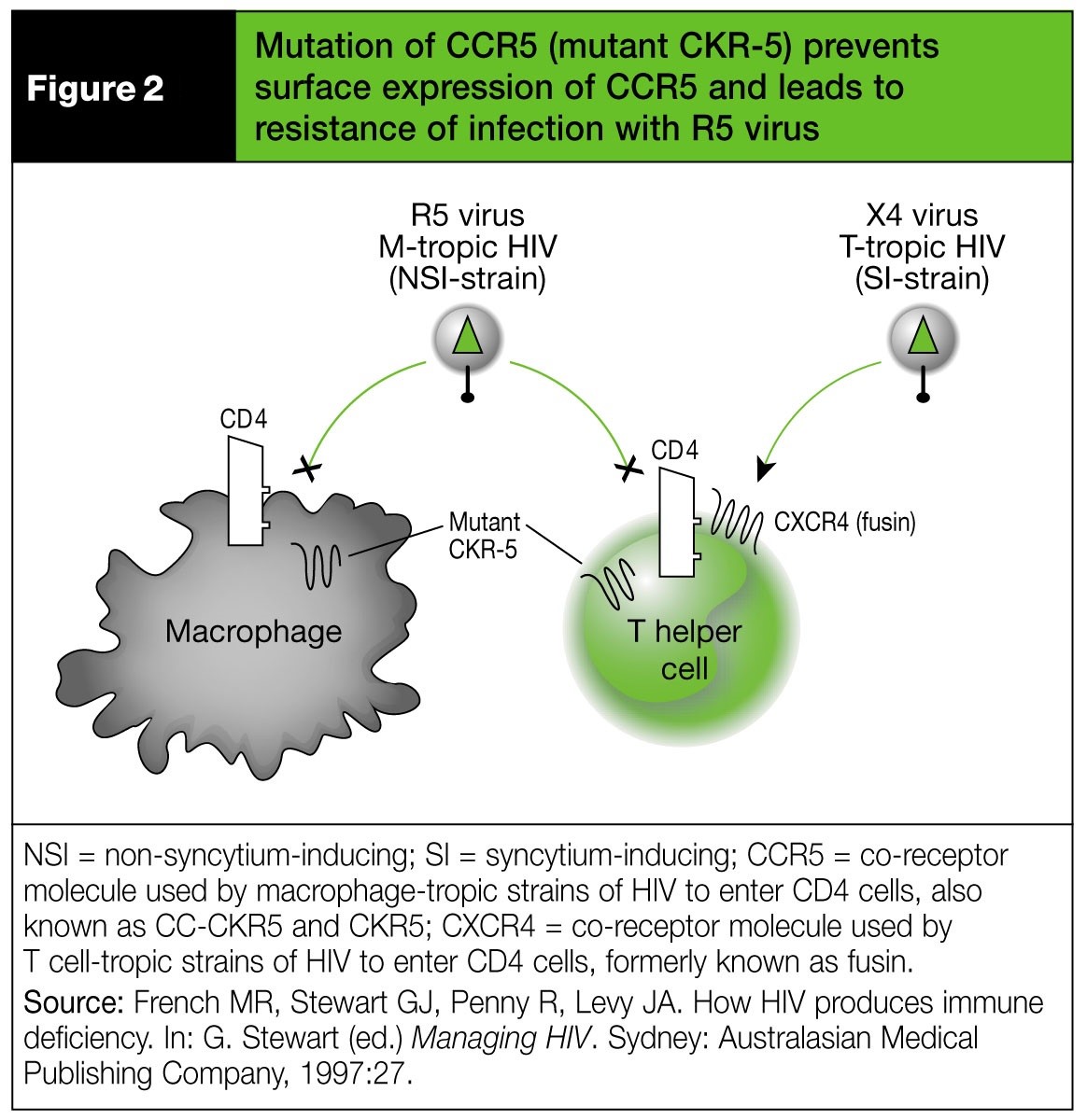 Host and viral factors affecting disease progression - HIV Management ...